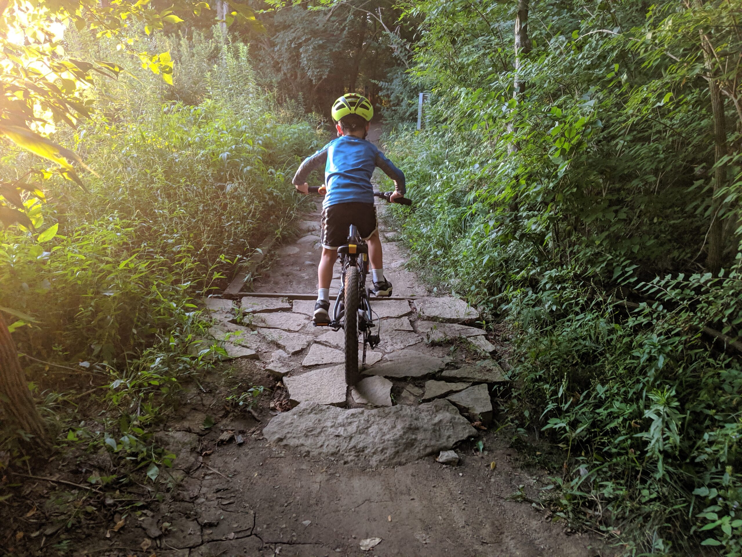 Gators Bike Park | Gators Bike Park